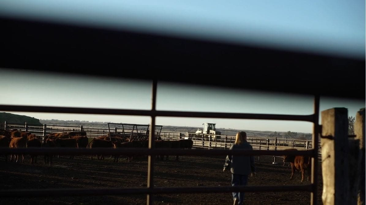 Christensen Ranch - Farm Credit