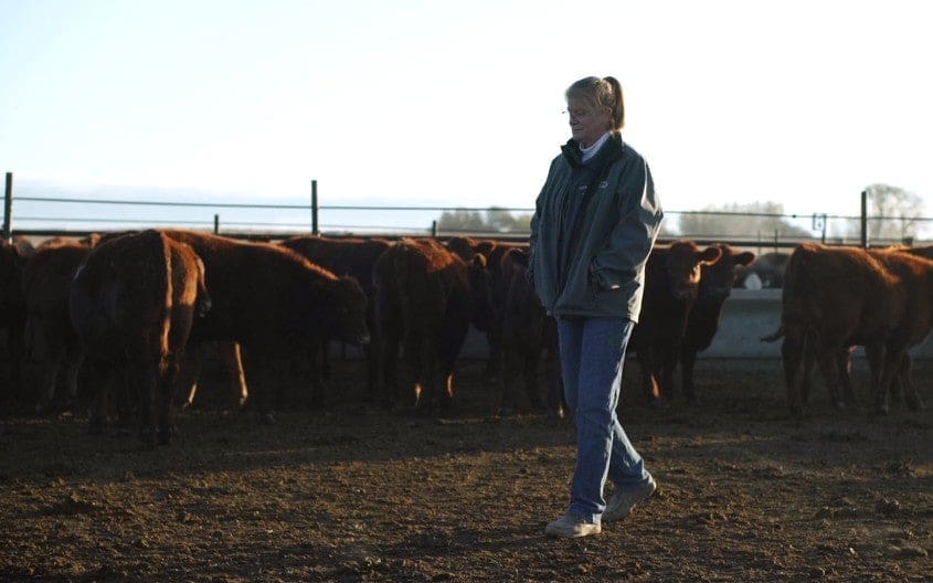 Christensen Ranch - Farm Credit