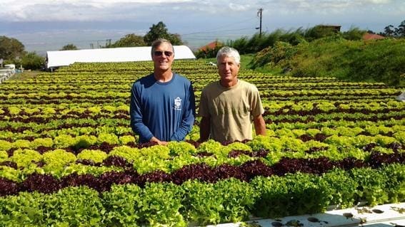 Pacific Produce - Farm Credit