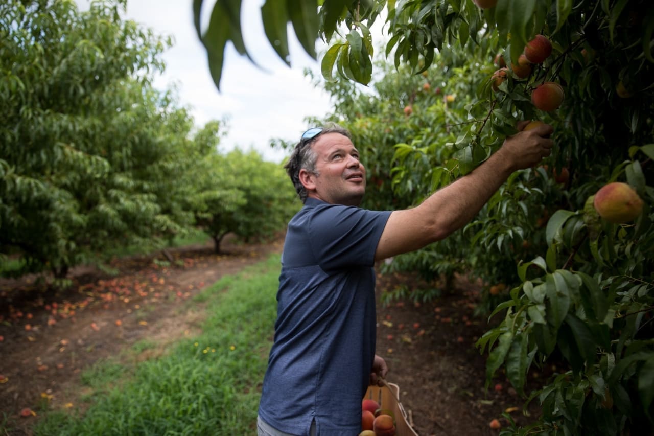 Jaemor Farms - Farm Credit