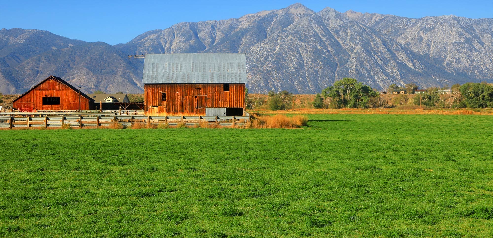 Nevada - Farm Credit