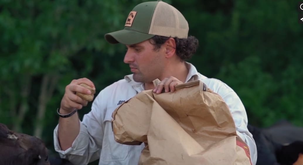 Ranger Cattle - Farm Credit