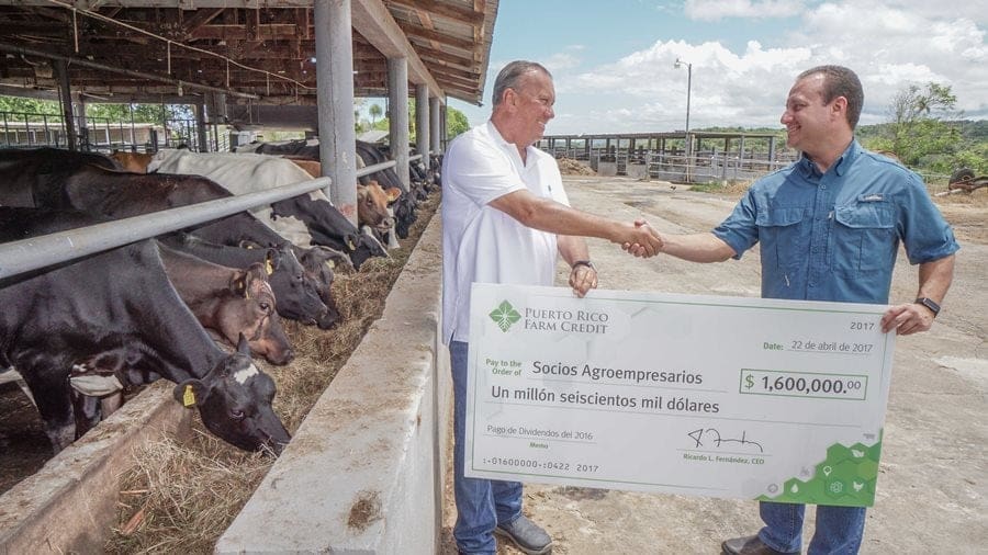 López Dairy Farms - Farm Credit