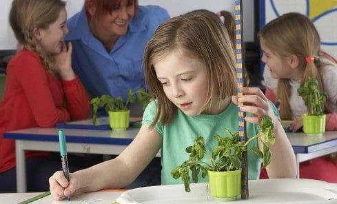 Agriculture in the Classroom Teaches More Than You’d Think - Farm Credit