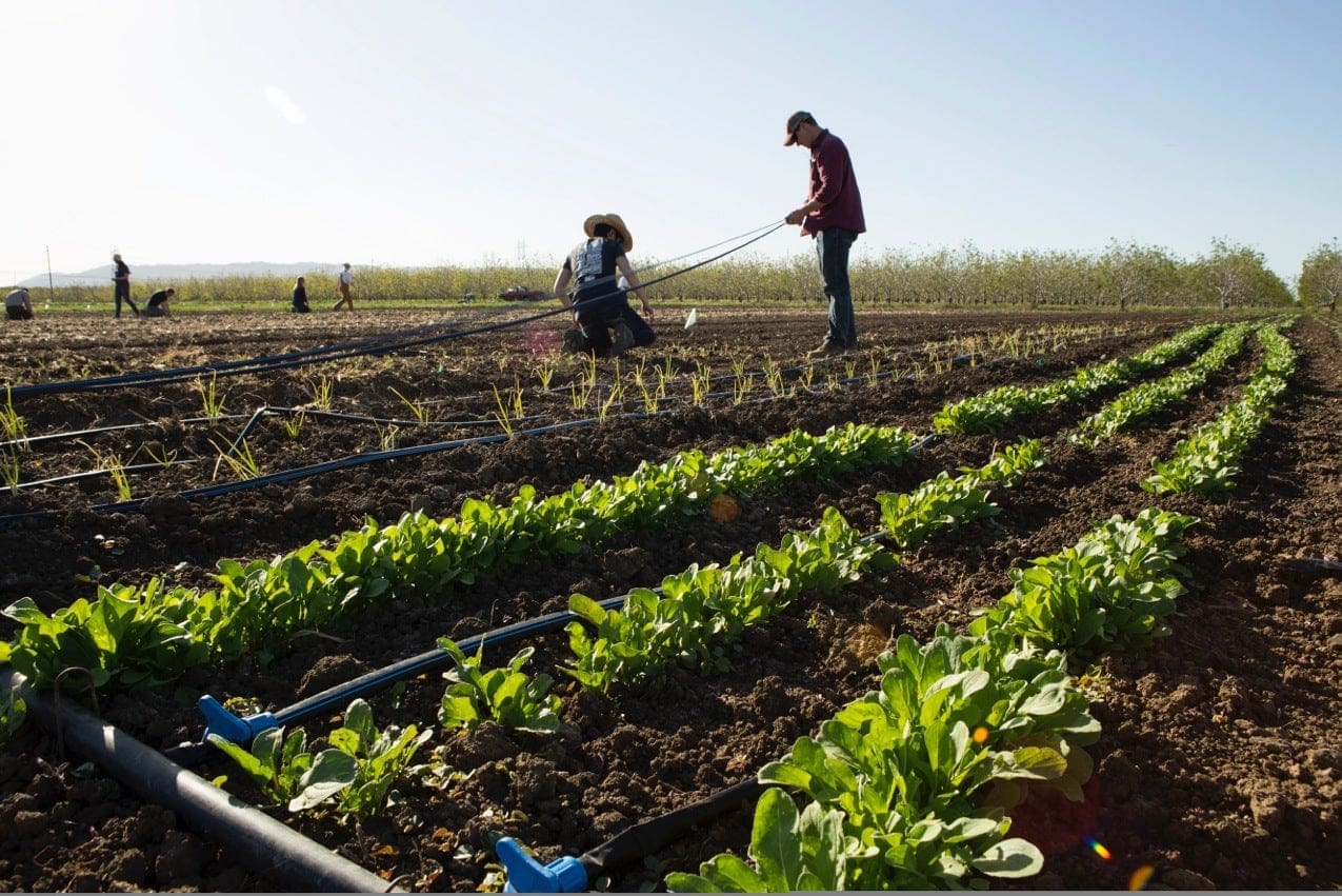 Farm Credit Helps Adults, Students Learn More About Agriculture Careers ...