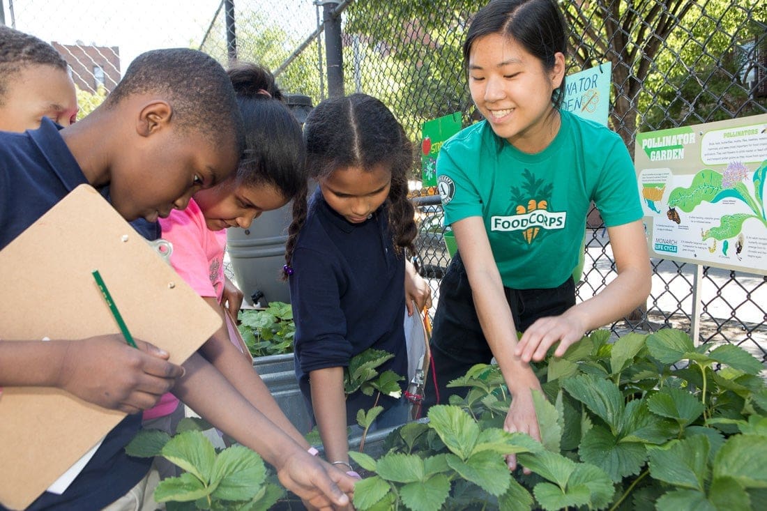 FoodCorps Educates Young People About Garden-to-Classroom - Farm Credit