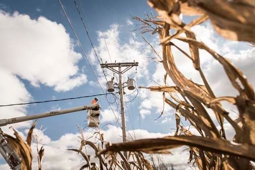 Farm Credit Thanks President Trump for Commitment to Rural ...