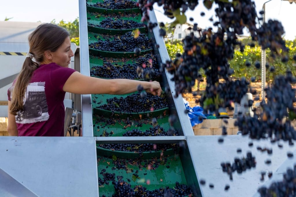 Robert Renzoni Vineyards - Farm Credit