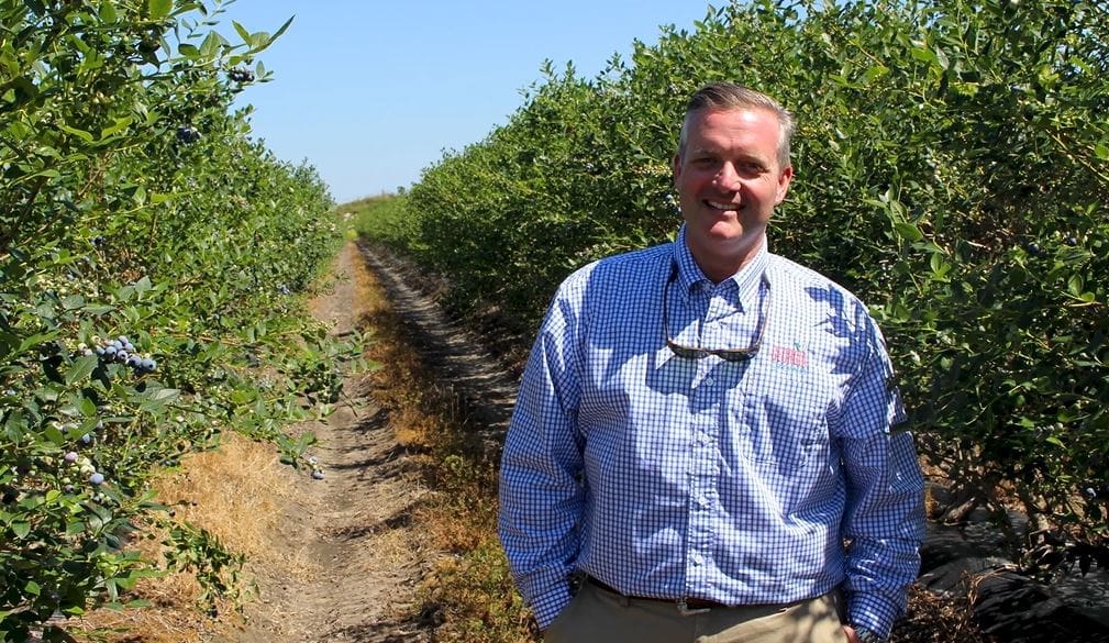 Cogdell Berry Farm and The Great American Cobbler Company - Farm Credit