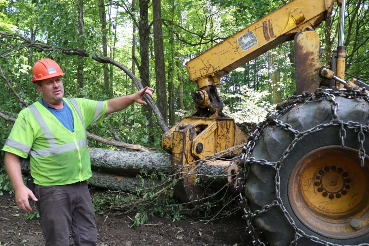 Lincoln Farm Timber Harvesting - Farm Credit