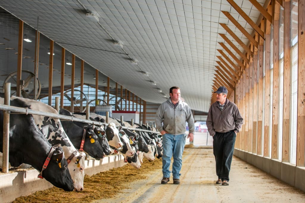 Skyline Dairy - Farm Credit