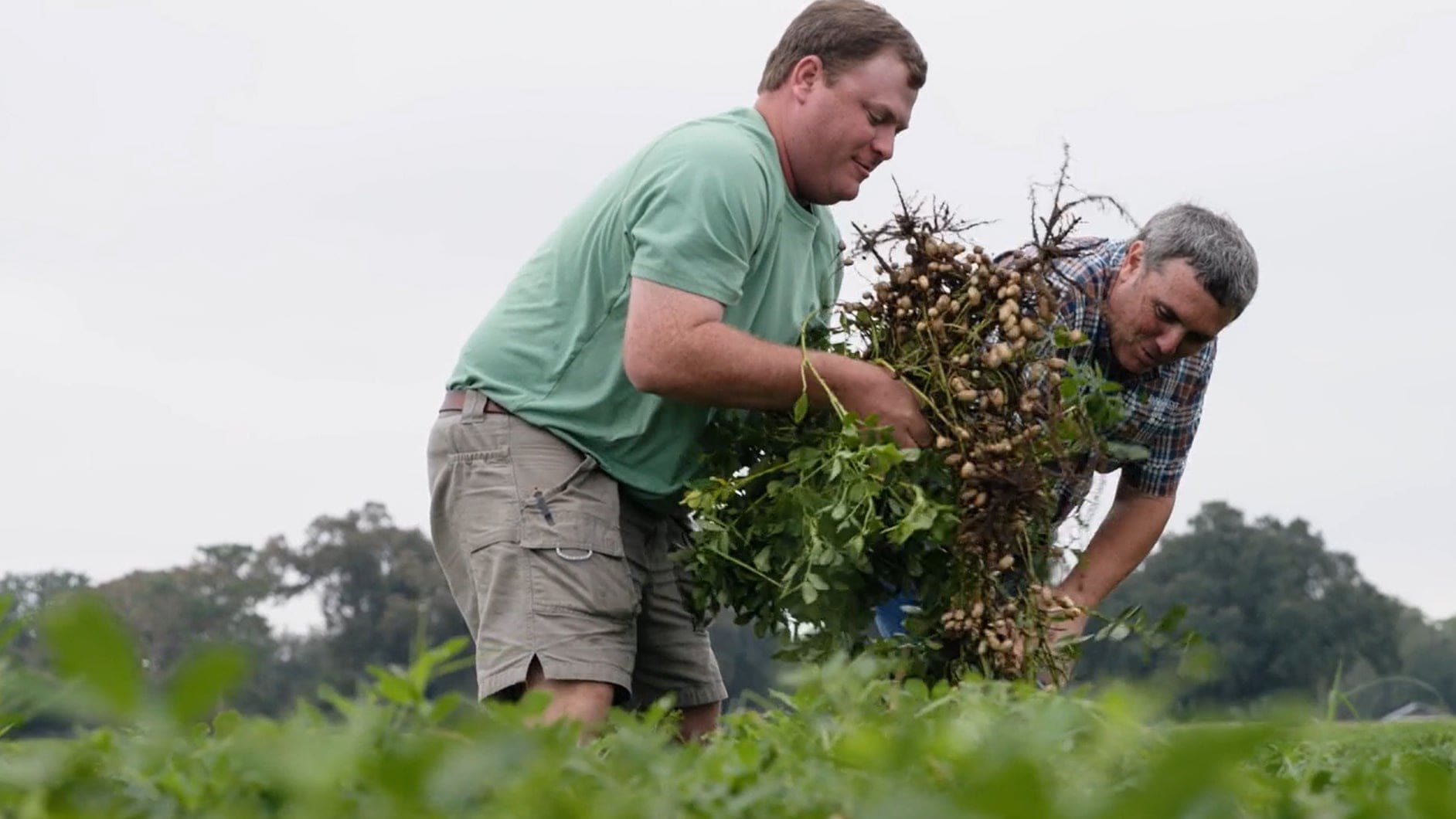 Culverson Farms - Farm Credit