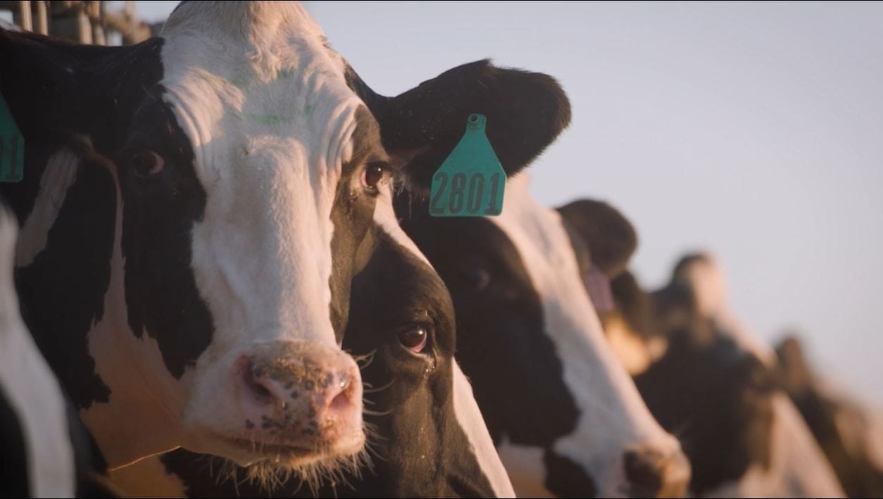 Royal Farms Dairy - Farm Credit