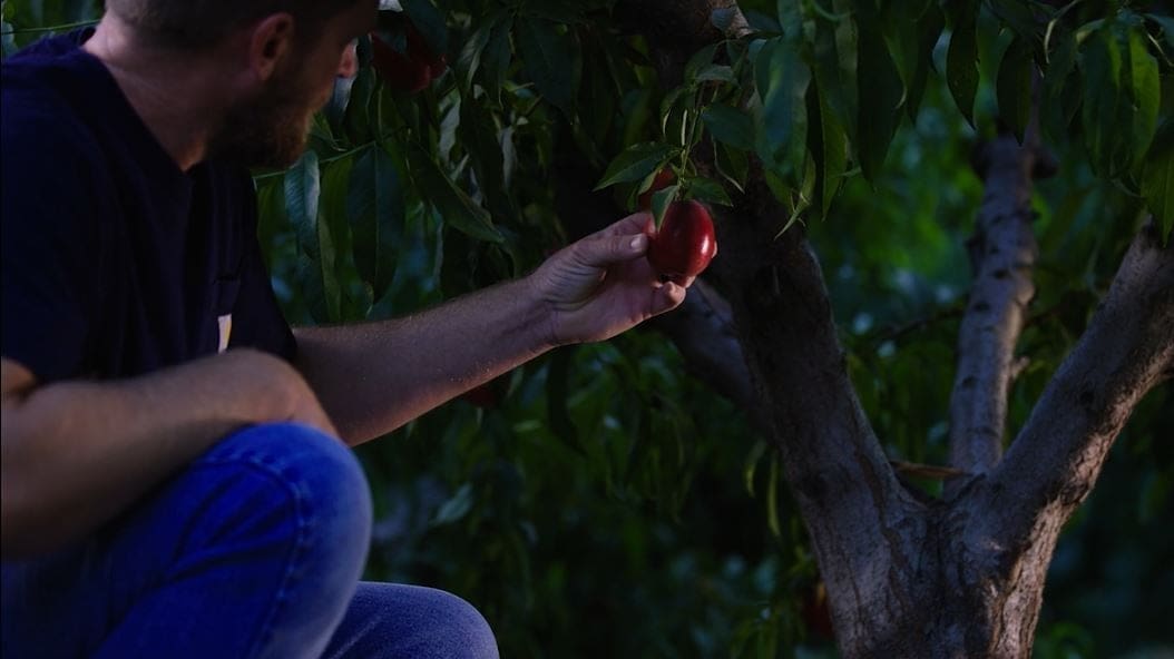 Sun Valley Packing - Farm Credit