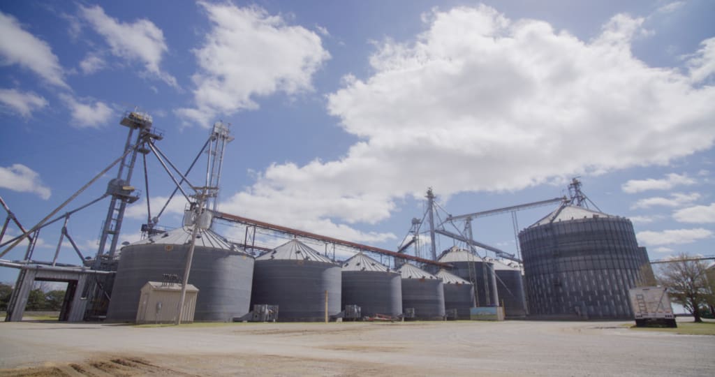 Poinsett Rice & Grain - Farm Credit