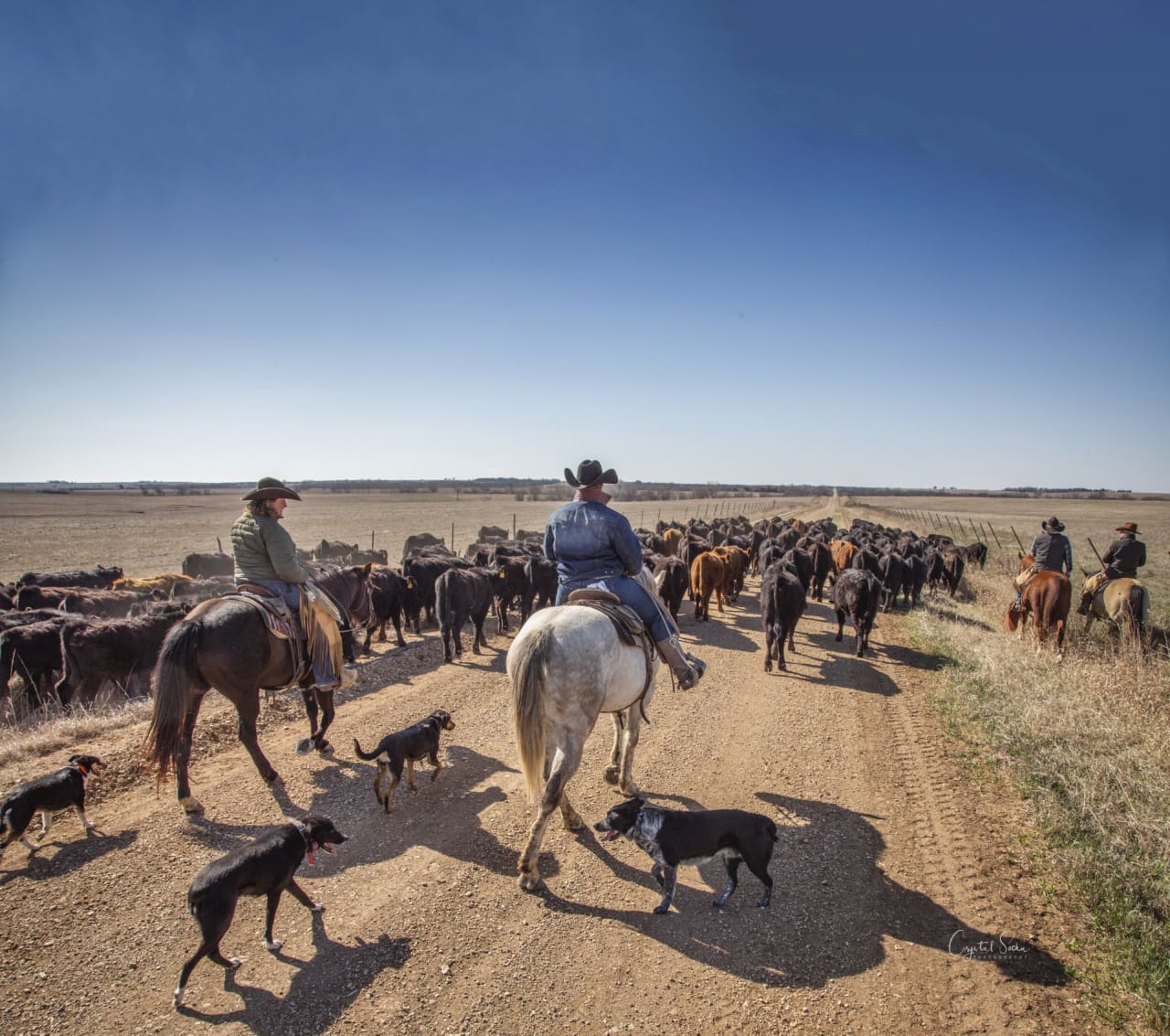 Flying W Ranch - Farm Credit
