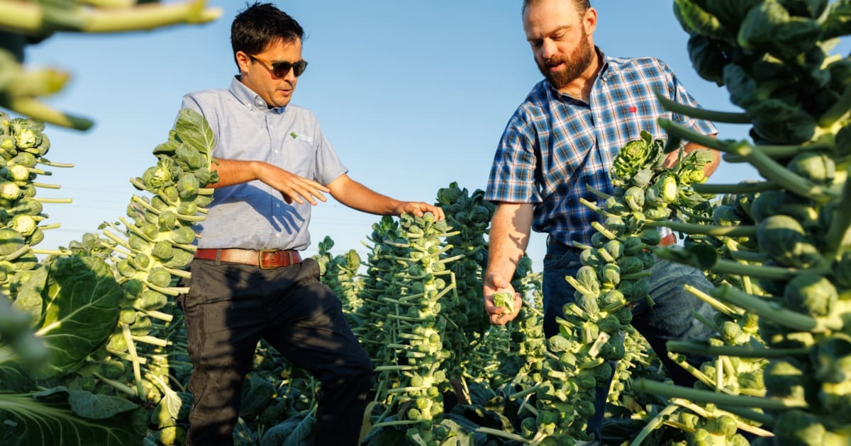 AgWest Farm Credit - Farm Credit