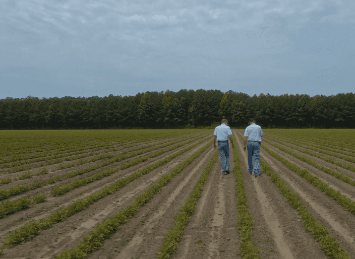 Lane Farms - Farm Credit