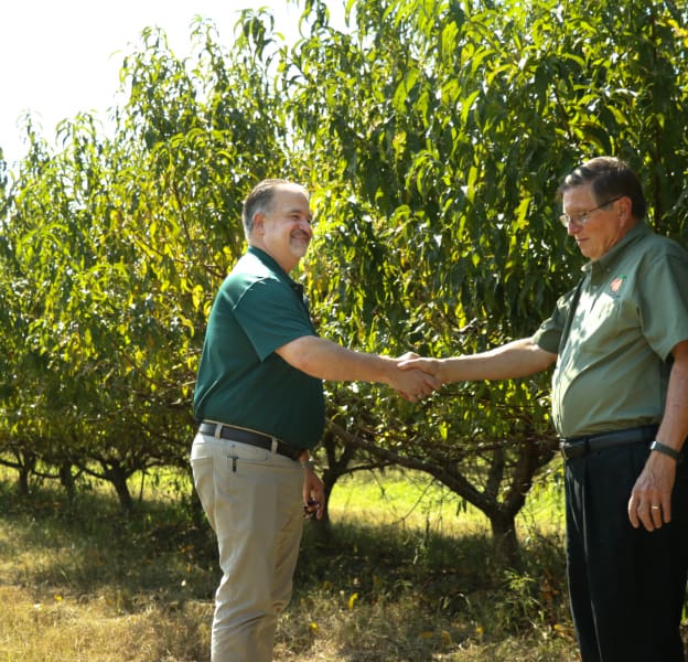 Structure - Farm Credit