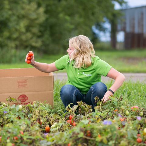 Farmers and Food Banks Bring Fresh Food to Local Communities - Farm Credit